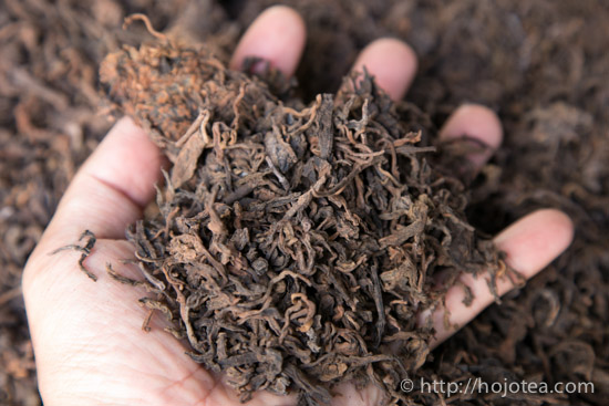 Post Fermented Tea | HOJO Online Speciality Tea Shop