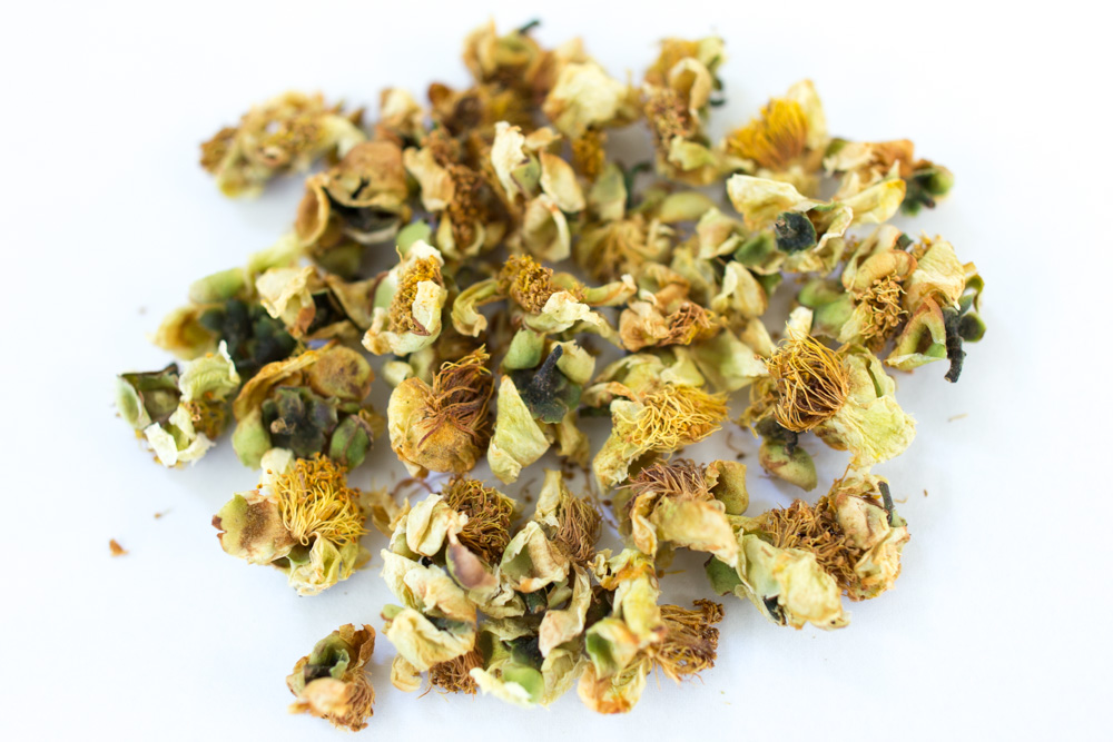 Herbal Tea and Flower Tea | HOJO Online Speciality Tea Shop